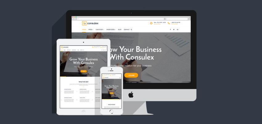 Consulex - Meet our new Finance and Consulting business WordPress ...